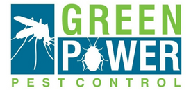 Best Pest Control Services in Kalyan,Thane | Green Power