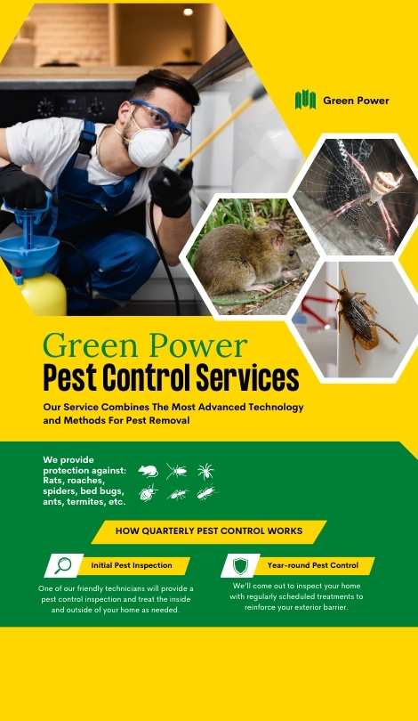 Best Pest Control Services in Kalyan,Thane | Green Power
